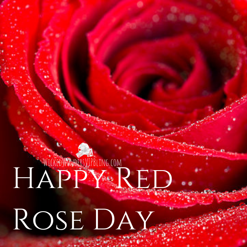 Happy Red Rose Day – WICKED WONDERS